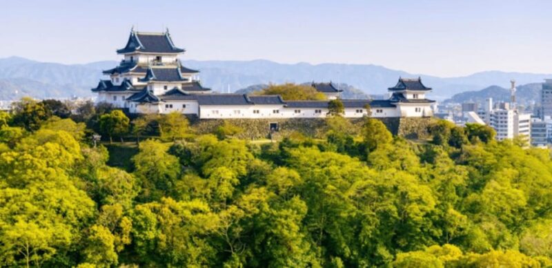 Kyoto/Osaka: Mount Koya and Wakayama Private Day Trip - Highlights of the Itinerary