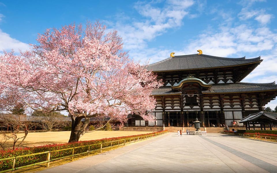 Kyoto/Osaka: Nara Customizable Self-Guided Tour With Driver - Customization and Flexibility