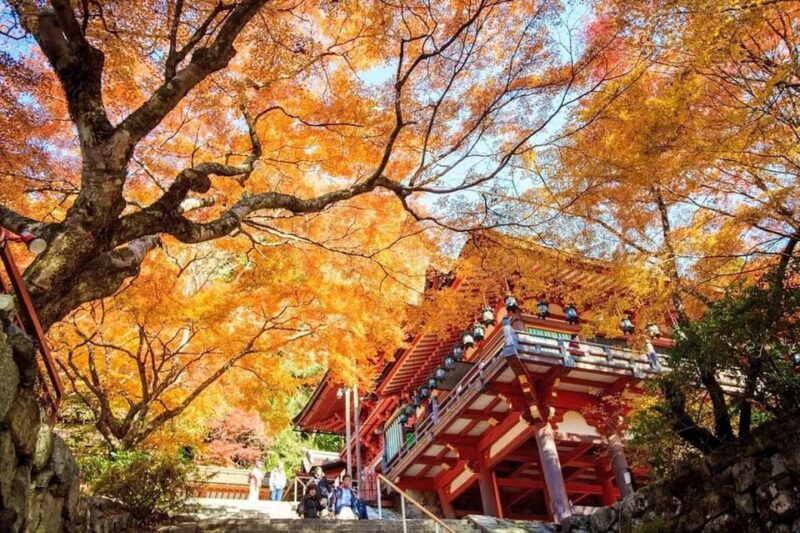 Kyoto/Osaka: Nara Customizable Self-Guided Tour With Driver - Transportation and Vehicle Details