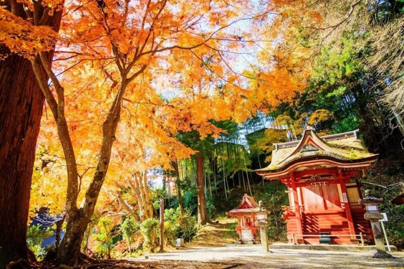 Kyoto/Osaka: Nara Customizable Self-Guided Tour With Driver - Customer Reviews