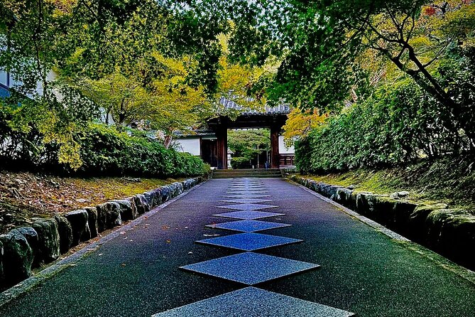 Kyoto Osaka Nara Private Custom Tour by Car - Customer Reviews and Feedback