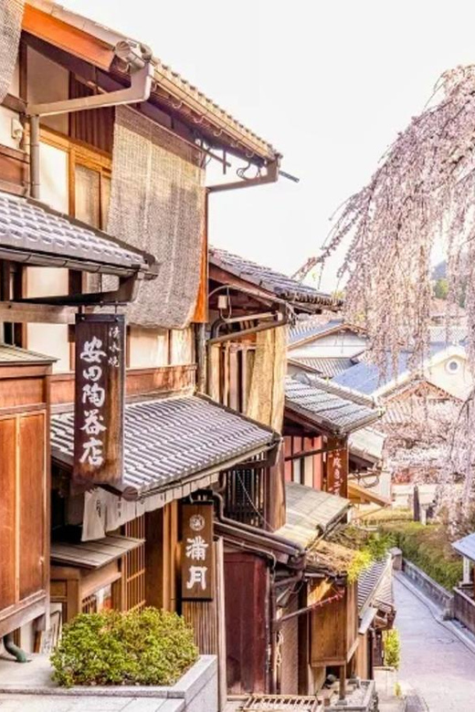 KYOTO: OSAKA/NARA/Private Customized Tour With Hotel Pickup - Itinerary Highlights