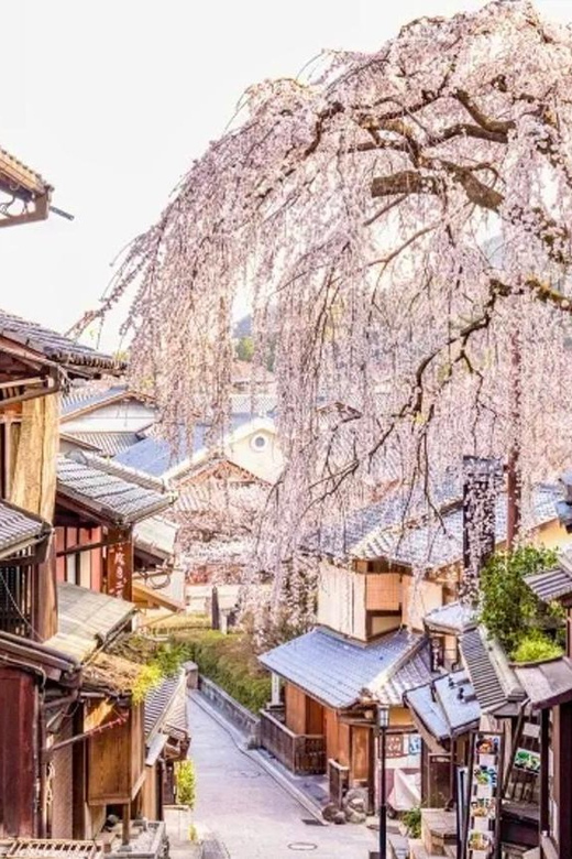 KYOTO: OSAKA/NARA/Private Customized Tour With Hotel Pickup - Transportation and Amenities