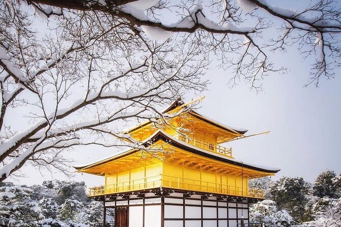 Kyoto, Osaka, Nara Private Tour by Car English Driver Guide - Osaka Attractions