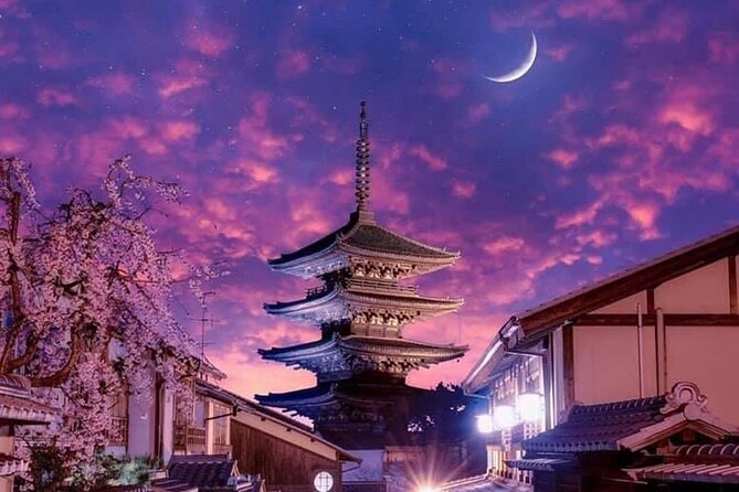 Kyoto, Osaka, Nara Private Tour by Car English Driver Guide - Participant Experiences and Feedback