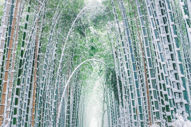 Kyoto, Osaka, Nara Private Tour by Car English Driver Guide - Important Considerations