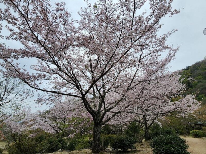 Kyoto Personalized Private Tour With Pick up - Frequently Asked Questions