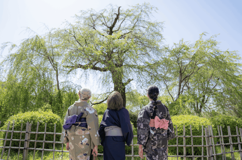 Kyoto Portrait Tour With a Professional Photographer - Key Points