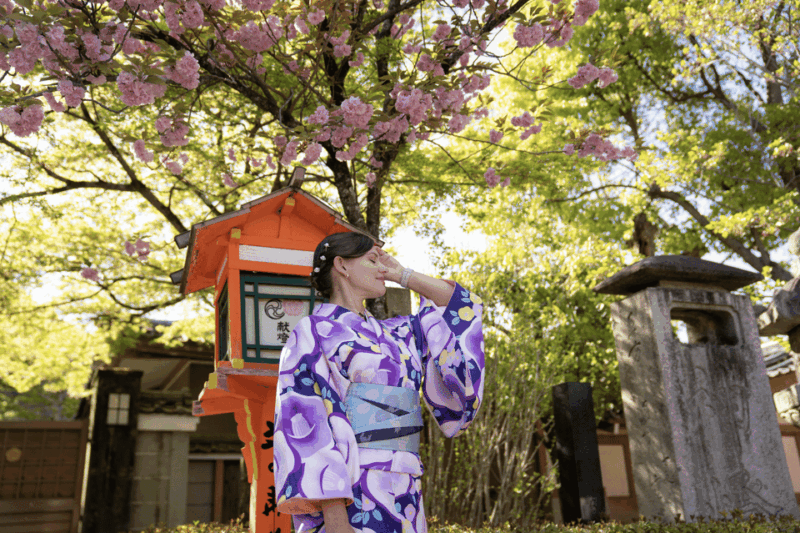 Kyoto Portrait Tour With a Professional Photographer - Exploring Iconic Kyoto Locations