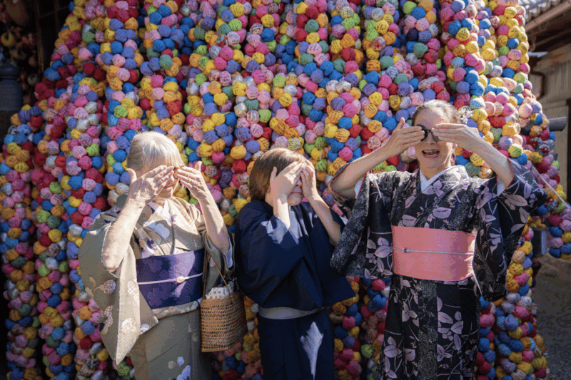 Kyoto Portrait Tour With a Professional Photographer - Booking and Pricing Details