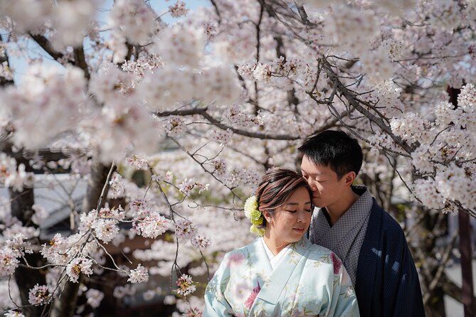 Kyoto Portrait Tour With Kimono - Inclusions and Accessibility