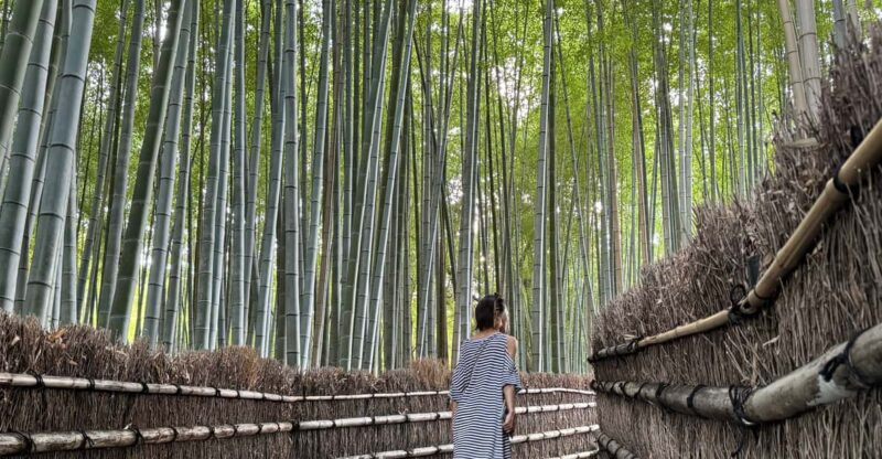 Kyoto: Private 4-Hour Tour of Arashiyama - Avoid the Crowds - Togetsu-kyō Bridge: Gateway to Scenic Wonders