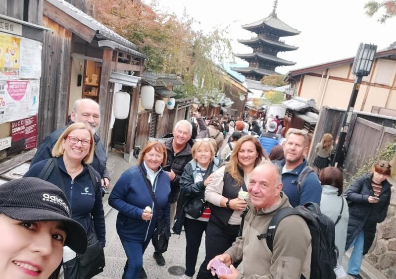 Kyoto: Private and Customized Tour (Walking/Public Transportation) - Highlights and Routes