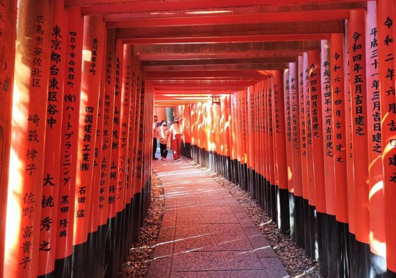 Kyoto: Private and Customized Tour (Walking/Public Transportation) - Entrance Fees and Inclusions