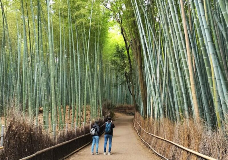 Kyoto: Private and Customized Tour (Walking/Public Transportation) - Payment and Cancellation Policy