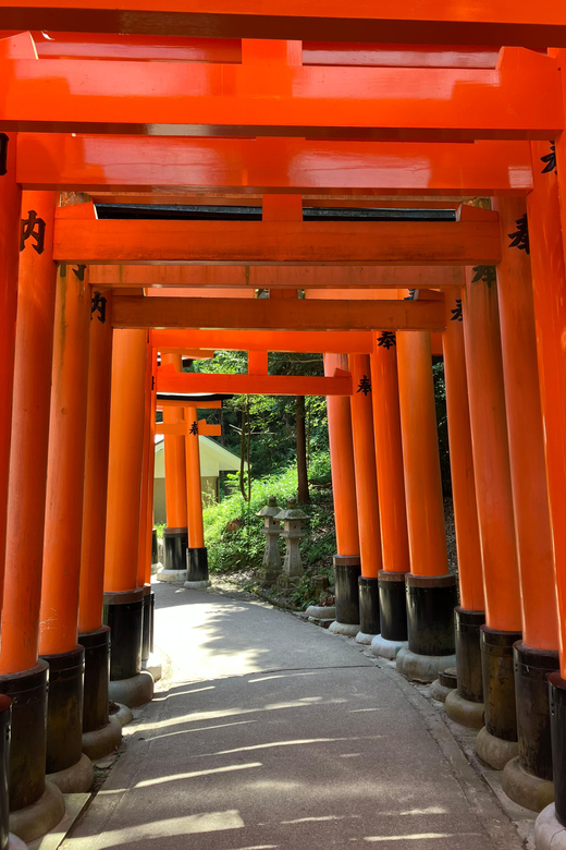 Kyoto: Private Car Tour - Fushimi Inari & Bamboo Grove - What to Expect