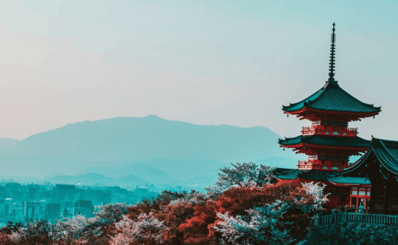 Kyoto : Private Custom Walking Tour With A Local Guide - Experience Highlights