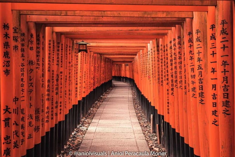 Kyoto: Private Customizable Day Tour with Guide and Vehicle - What Makes This Tour Special?