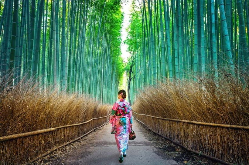 Kyoto: Private Customizable Day Tour with Guide and Vehicle - A Typical Day, and Why It Works