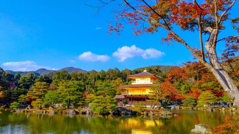 Kyoto: Private Customizable Day Trip by Car - Pricing and Booking Details