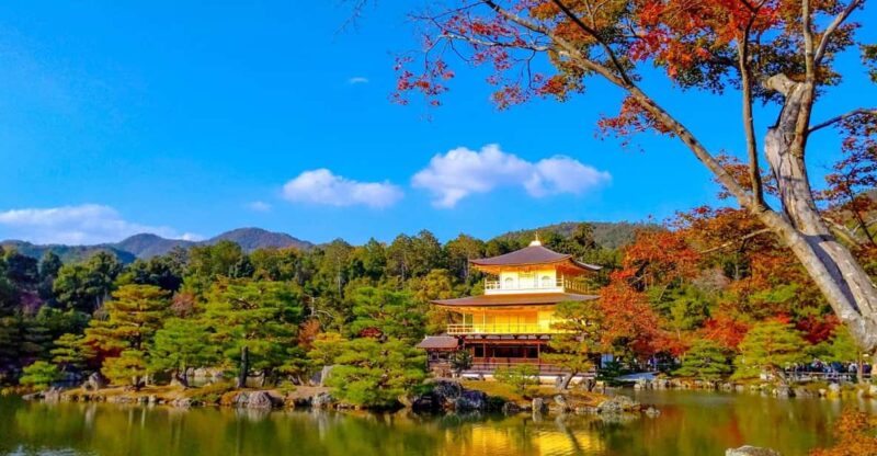 Kyoto: Private Customizable Day Trip by Car - Highlights of the Itinerary