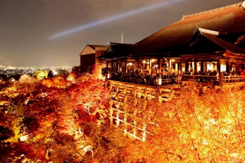 Kyoto: Private Customizable Day Trip by Car - Customer Reviews and Experiences