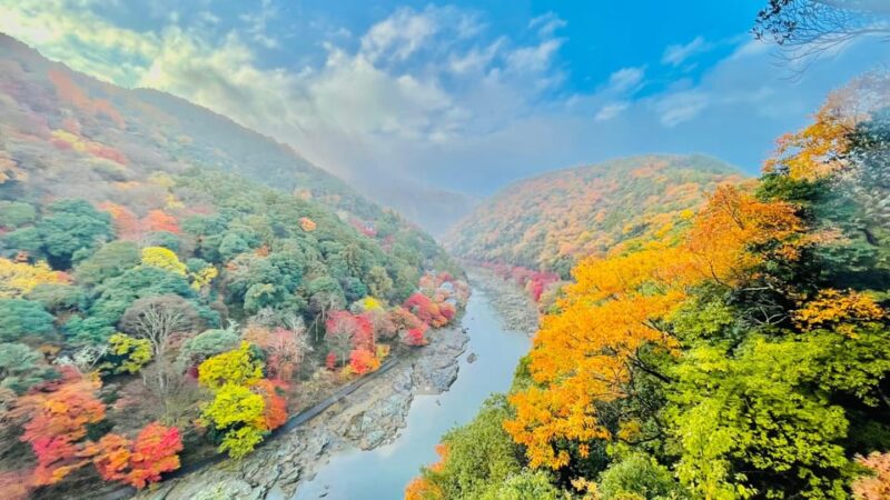 Kyoto: Private Customizable Guided Tour With Luxury Vehicle - Itinerary Highlights