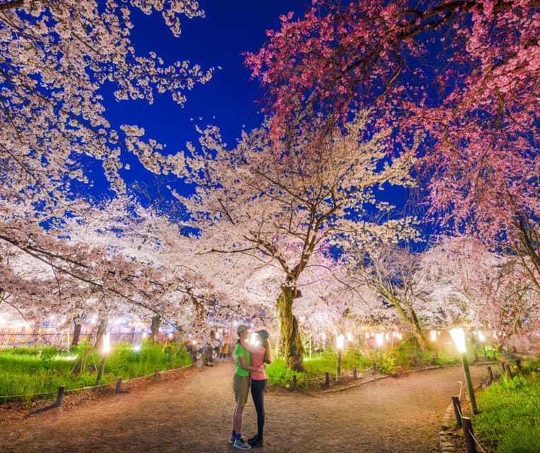 Kyoto: Private Customizable Guided Tour With Luxury Vehicle - Customization Options