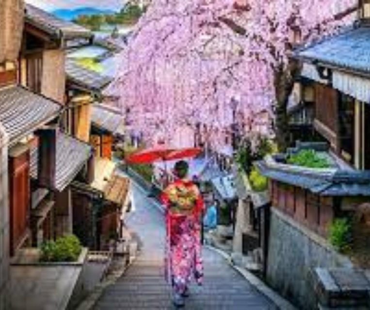Kyoto: Private Customizable Guided Tour With Luxury Vehicle - Frequently Asked Questions