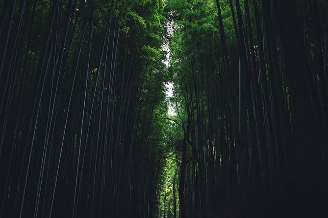 Kyoto Private Customizable Half Day Tour - What to Expect