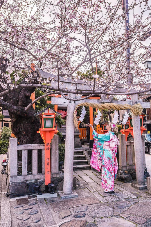 Kyoto: Private Customize Tour With English Speaking Guide - Main Attractions