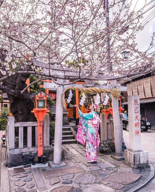 Kyoto: Private Customize Tour With English Speaking Guide - Tour Features