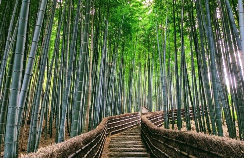 Kyoto: Private Customize Tour With English Speaking Guide - Frequently Asked Questions