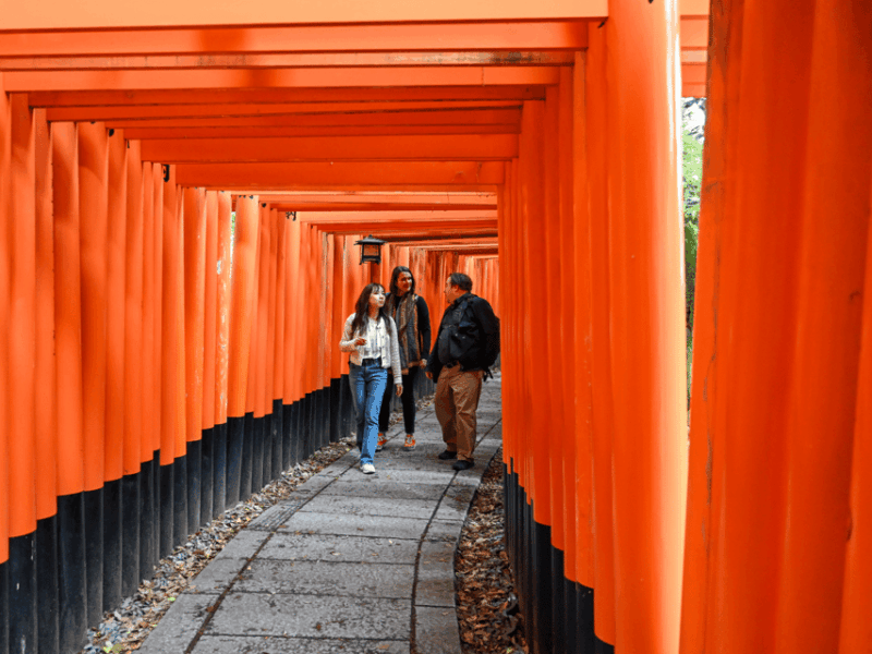 Kyoto: Private Customized Walking Tour With a Local Insider - Iconic Sights and Hidden Gems