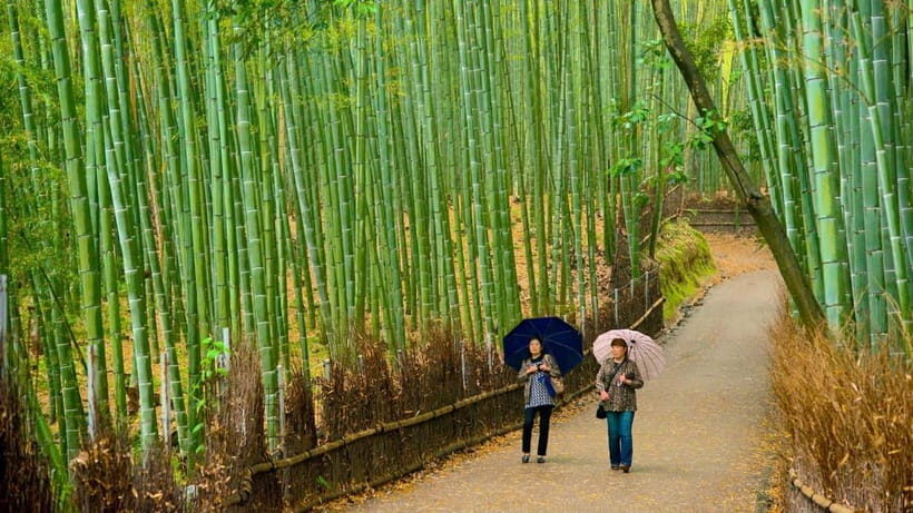 Kyoto: Private Day Tour with English-Speaking Driver - FAQ