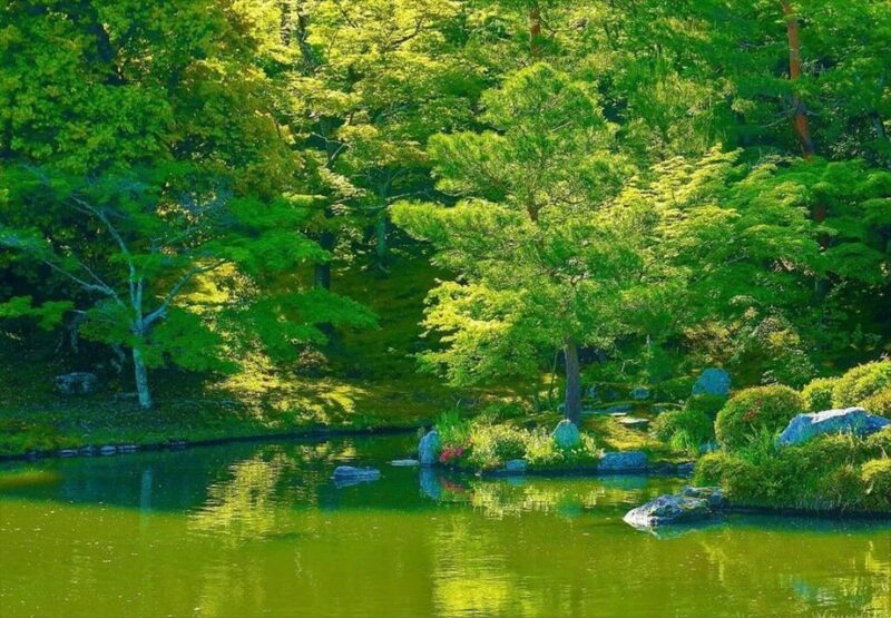 Kyoto Private Guided Tour With Pick up - Transportation and Accessibility