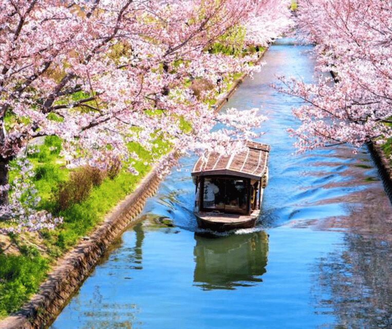Kyoto: Private Highlights Tour with Guide and Luxury Vehicle - Final Thoughts