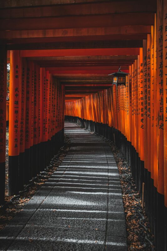 Kyoto Private Sightseeing Tour by Car With Pick up - Included Services