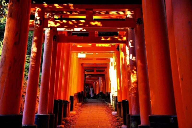 Kyoto Private Sightseeing Tour by Car With Pick up - Itinerary Highlights