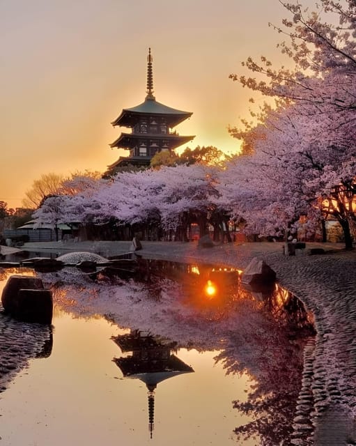 Kyoto Private Tour With Car From Osaka/ Kyoto - Key Points