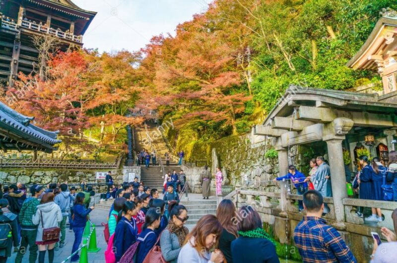 Kyoto: Private Tour With Local Licensed Guide - Customization and Itinerary