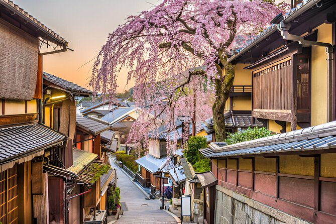 Kyoto Private Tour With Pick and Drop - Common Questions
