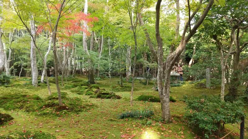 Kyoto: Quiet Arashiyama and Sagano Temples Guided Tour - Key Points