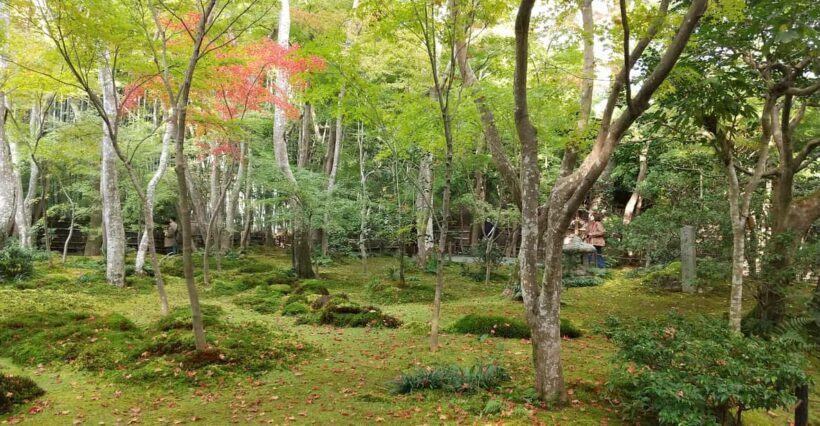 Kyoto: Quiet Arashiyama and Sagano Temples Guided Tour - An Authentic Walk Through Kyoto’s Sacred Sites