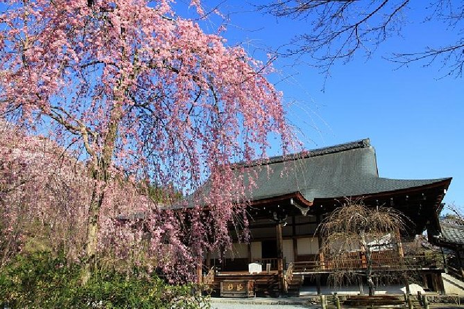 Kyoto Sagano Bamboo Grove & Arashiyama Walking Tour - Itinerary Highlights