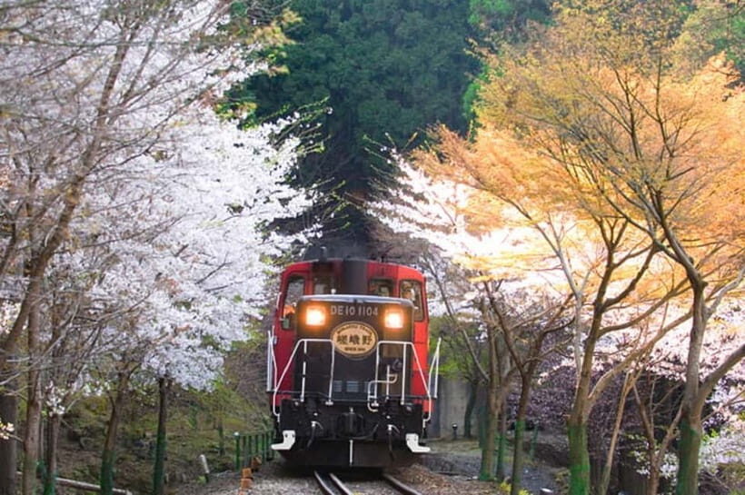 Kyoto: Sagano Romantic Train and Hozugawa River Cruise - Key Points