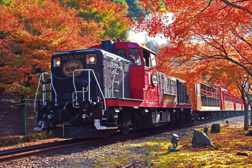 Kyoto Sagano Romantic Train in Arashiyama Bus Tour - The Itinerary Breakdown
