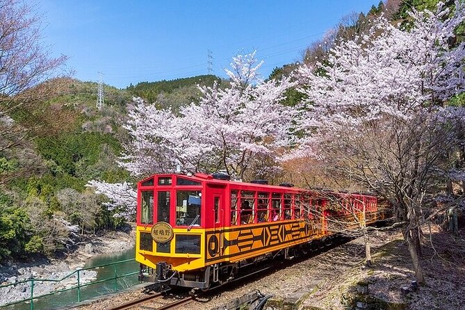 Kyoto Sagano Romantic Train in Arashiyama Bus Tour - Participant Requirements