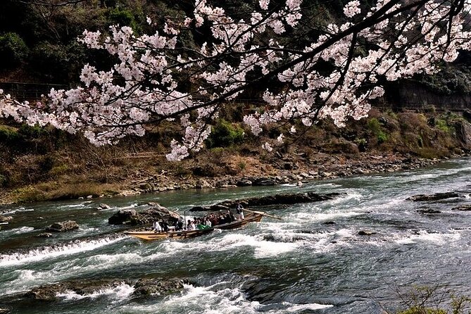 Kyoto Sagano Romantic Train in Arashiyama Bus Tour - Positive Experiences