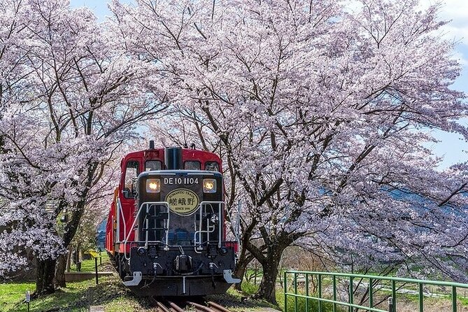 Kyoto Sagano Romantic Train in Arashiyama Bus Tour - Negative Experiences